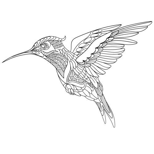 Hummingbird Outline Vector Images (over 2,900)