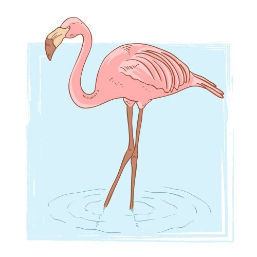 Flamingo Vector Images (over 32,000)