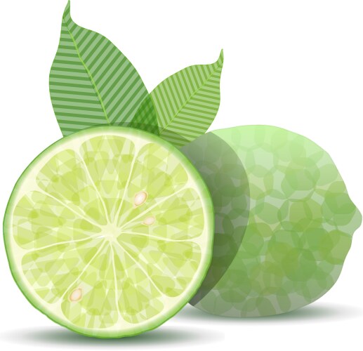 Lime Vector Images (over 240,000)