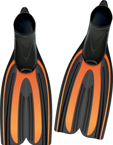 Realistic flippers Royalty Free Vector Image - VectorStock