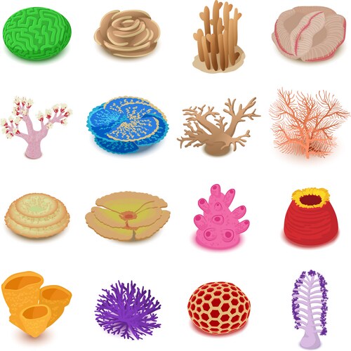 Coral reefs set Royalty Free Vector Image - VectorStock