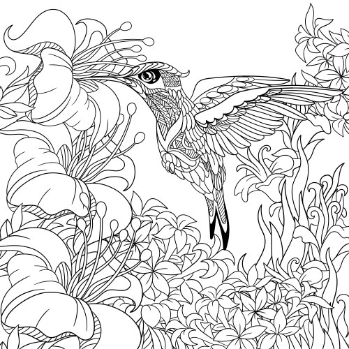 Hummingbird Outline Vector Images (over 2,900)