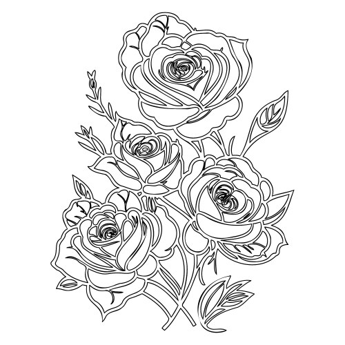 Roses flower outline sketch Royalty Free Vector Image