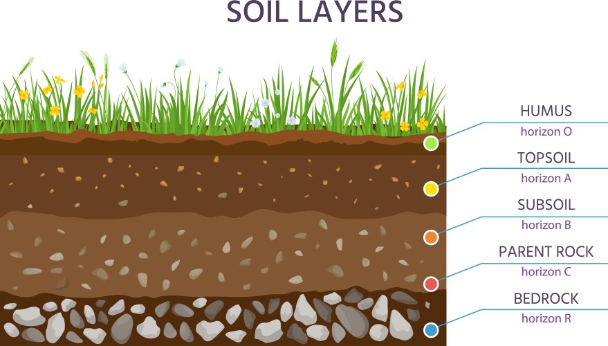 Soil Cartoon Vector Images (over 15,000)