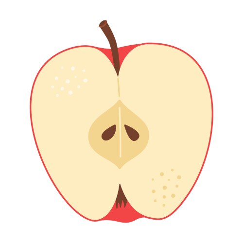 Red apple cut in half hand drawn trendy flat Vector Image
