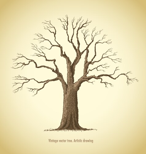 Gnarled tree at night Royalty Free Vector Image