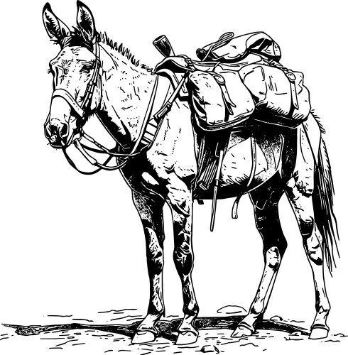 Mule Clipart Vector Images (over 210)