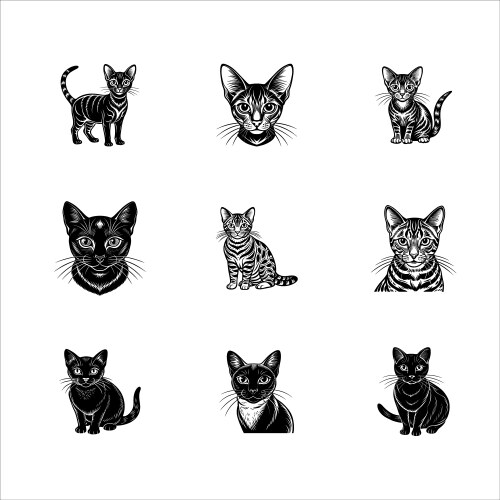 Cat Outline Vector Images (over 82,000)