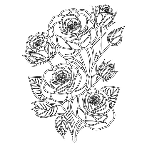 Roses flower outline sketch Royalty Free Vector Image