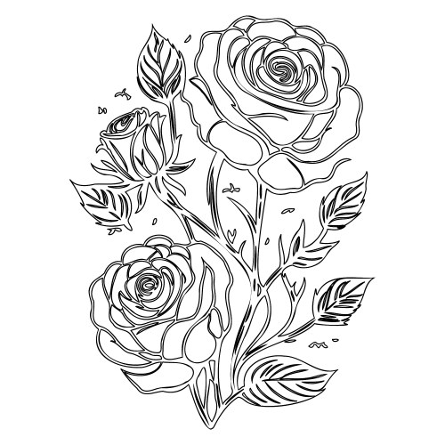 Roses flower outline sketch Royalty Free Vector Image