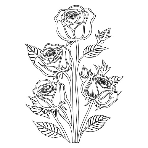 Roses flower outline sketch Royalty Free Vector Image