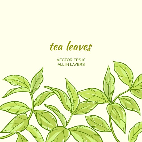 Tea branch floral seamless pattern leaves Vector Image