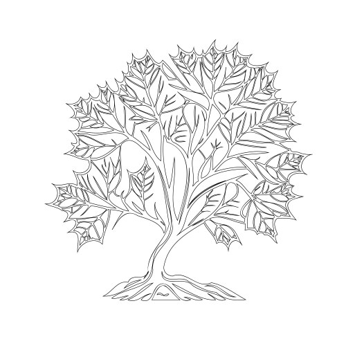 Maple Leaf Outline Vector Images (over 10,000)