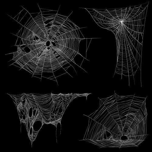 Spider Web Vector Images (over 37,000)