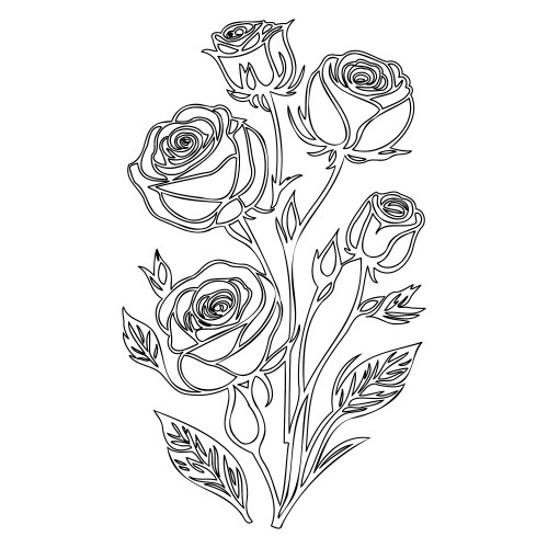 Roses flower outline sketch Royalty Free Vector Image