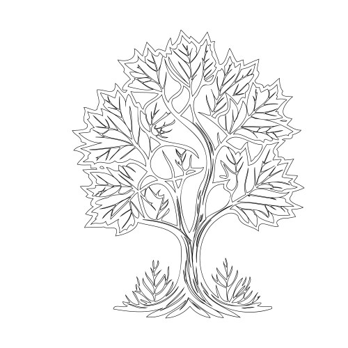 Maple Leaf Outline Vector Images (over 10,000)