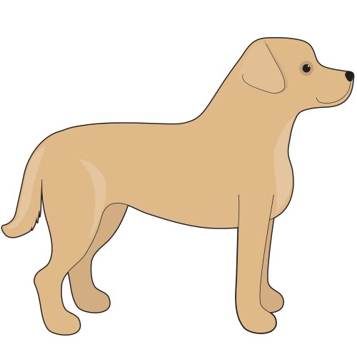 Labrador Vector Images (over 12,000)