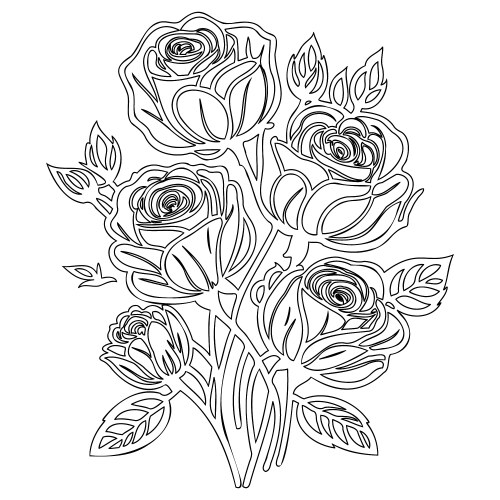 Roses flower outline sketch Royalty Free Vector Image