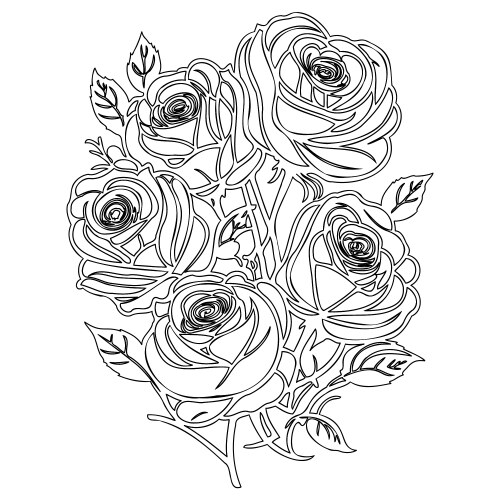 Roses flower outline sketch Royalty Free Vector Image
