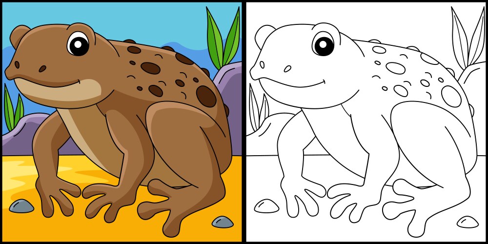 Toad Coloring Page Vector Images (over 340)