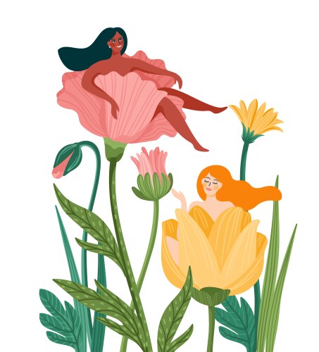 Isolated Of Cute Women Royalty Free Vector Image