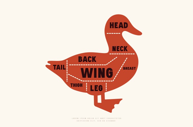 Duck cuts diagram in silhouette style Royalty Free Vector