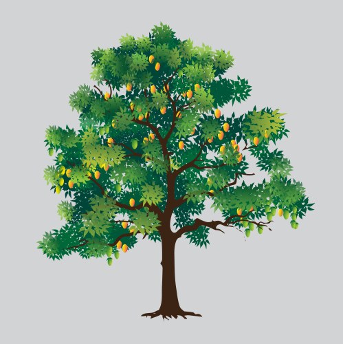 Mango Vector Images (over 20,000)