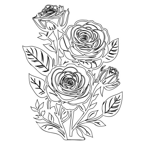Roses flower outline sketch Royalty Free Vector Image