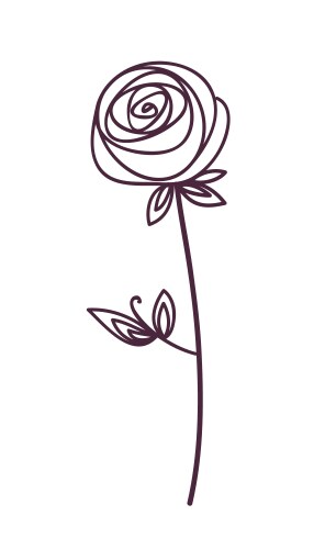 Rose Stylized Vector Images (over 5,500)