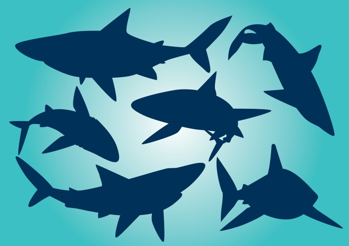 Shark Vector Images (over 36,000)