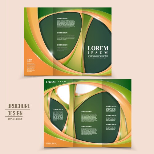Modern tri-fold template design Royalty Free Vector Image