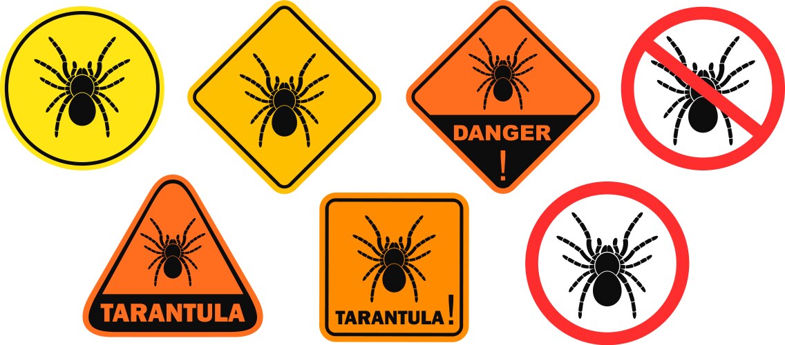 Tarantula Vector Images (over 6,100)