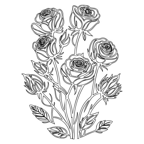 Roses flower outline sketch Royalty Free Vector Image