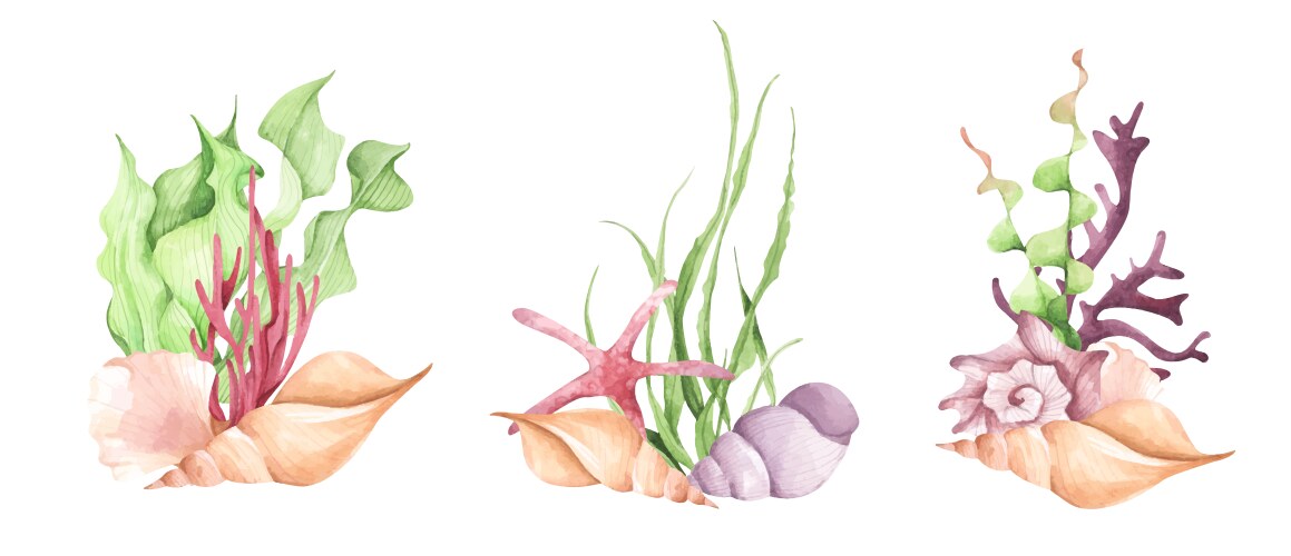 Seaweed Drawing Vector Images (over 9,600)