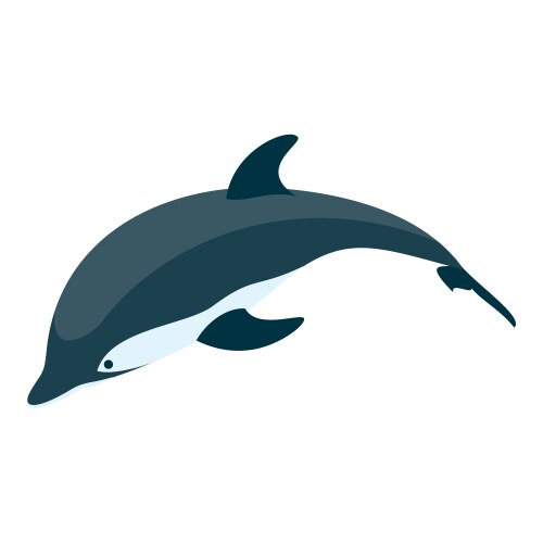 Dolphins Vector Images (over 33,000)