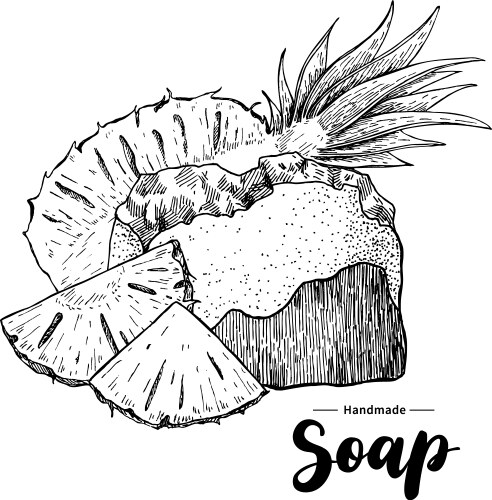 Handmade natural soap hand drawn Royalty Free Vector Image