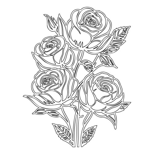 Roses flower outline sketch Royalty Free Vector Image