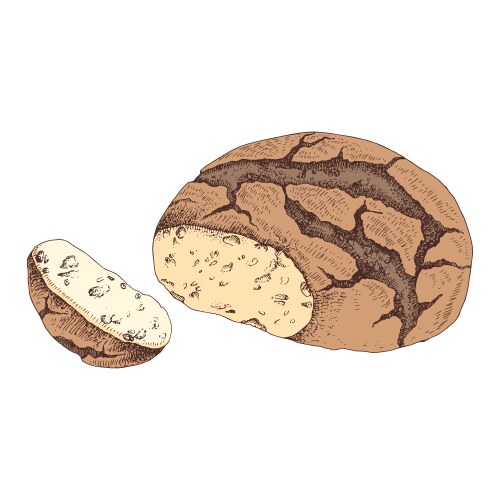 Cartoon irish barmbrack bread character bakery Vector Image