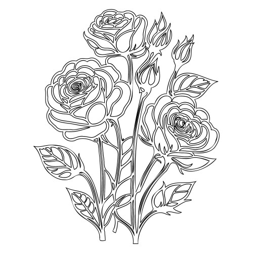Roses flower outline sketch Royalty Free Vector Image