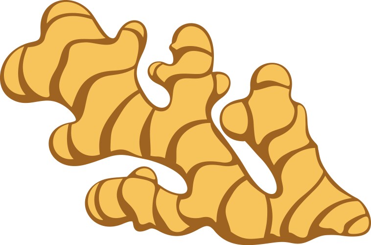 Ginger Royalty Free Vector Image - VectorStock