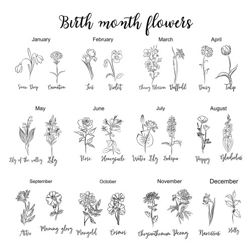 Flower Chart Vector Images (over 6,000)