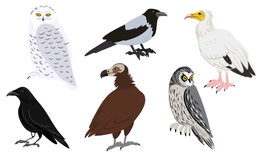 Bird Flying Outline Drawing Vector Images (over 20,000)