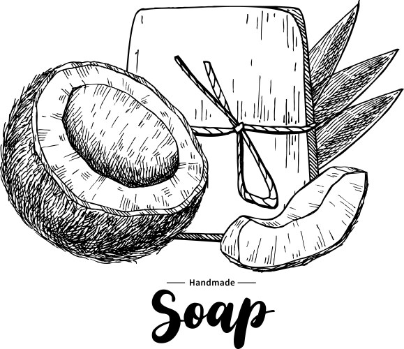 Handmade natural soap hand drawn Royalty Free Vector Image