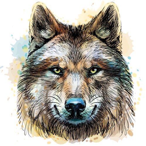 Wolf Vector Images (over 51,000)