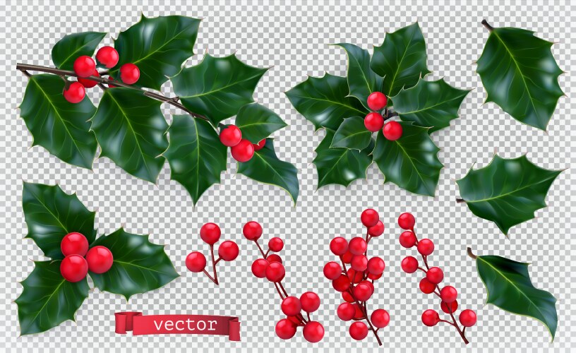Holly Berries Vector Images (over 29,000)