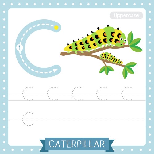 Letter c uppercase lowercase tracing worksheet Vector Image