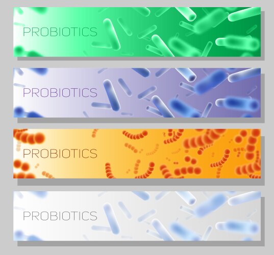 Probiotics types poster Royalty Free Vector Image