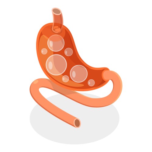 Full Stomach Vector Images (over 670)