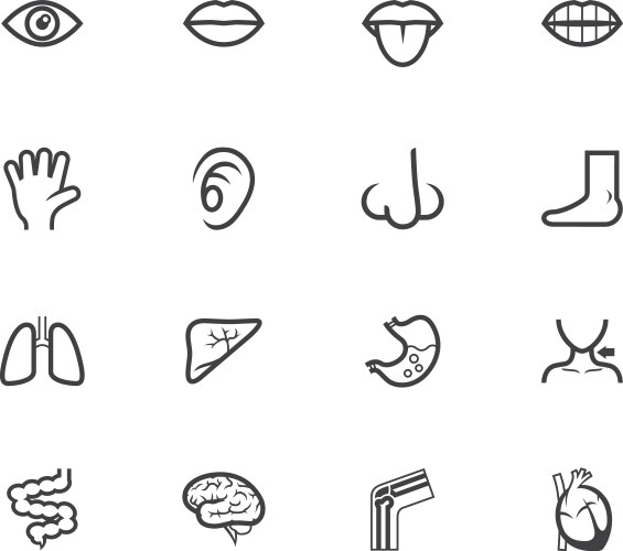 Body Vector Images (over 820,000)