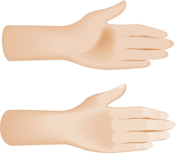 Open Hands Vector Images (over 70,000)